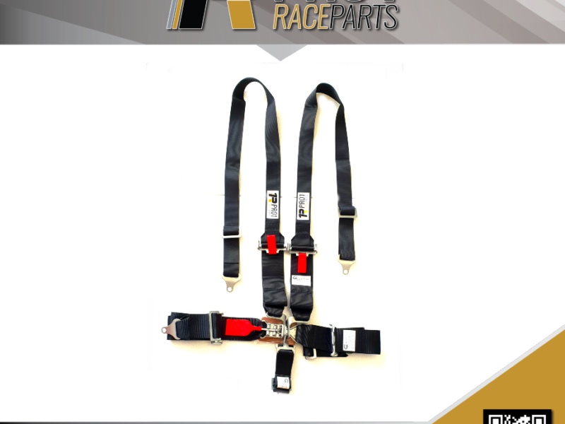 Race Harness Nets and Accessories Archives - Pro1 Race Parts | Speedway ...